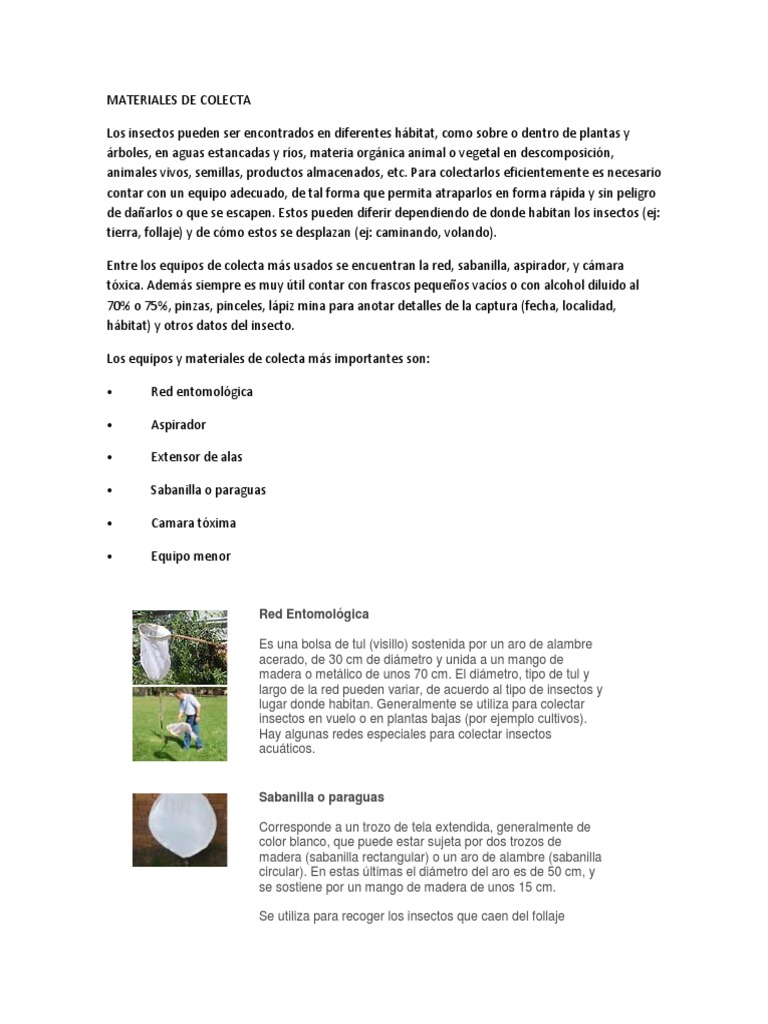 Practica 1 Entomologia Materiales de Colecta | PDF | Insectos | Papel