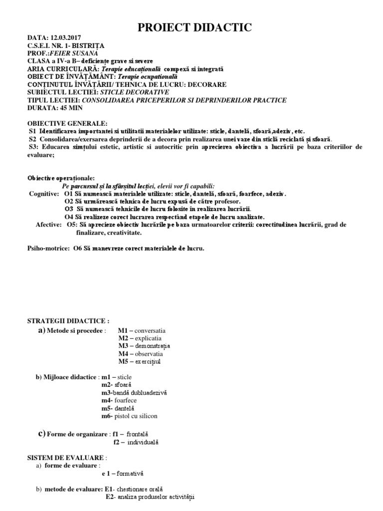 PROIECT DID. Suzi - Sticle Decorative | PDF