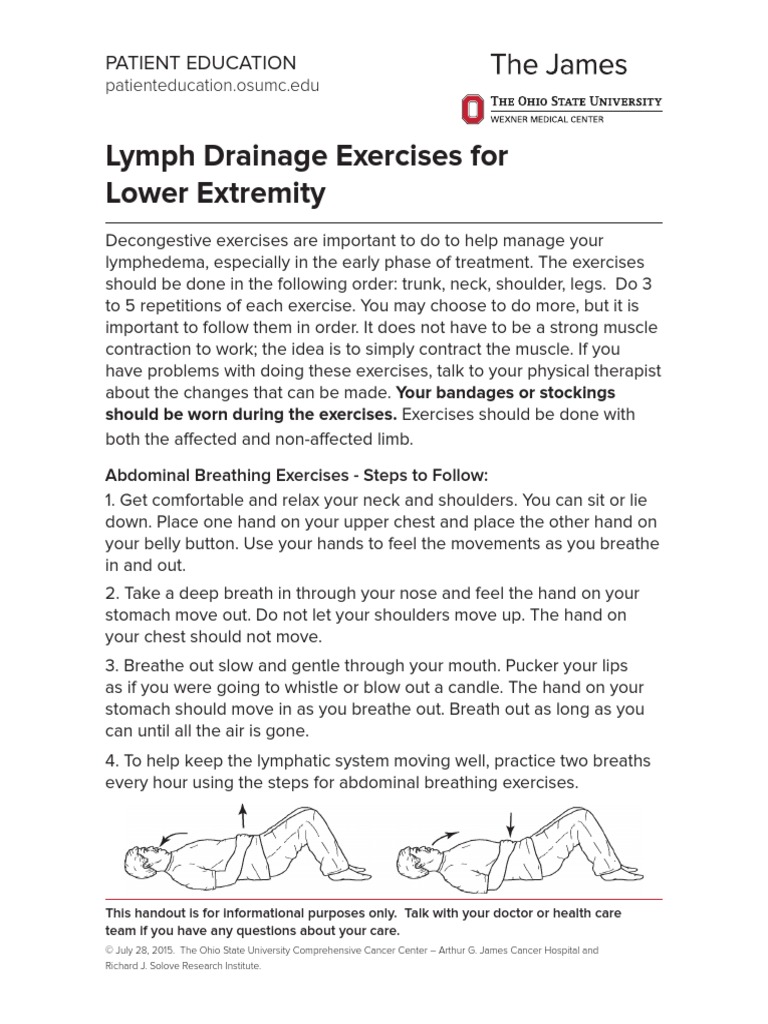 Lymph Exercises Lower | PDF | Human Anatomy | Primate Anatomy