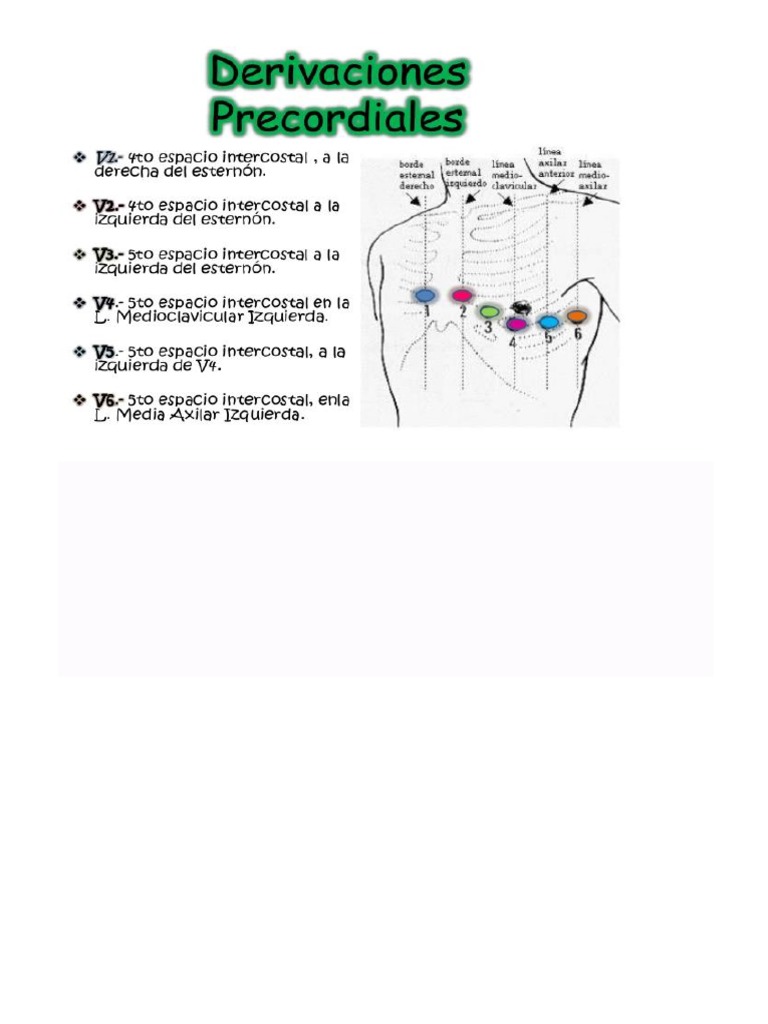 Resumen Paredes Cardiacas y Derivaciones Del Electrocardiograma | PDF