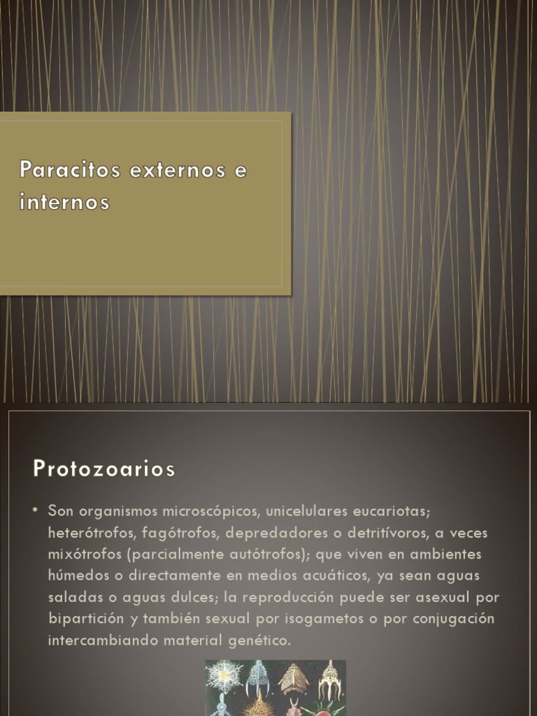 Parasitos Externos e Internos en Aves | PDF | Aves | Pollo