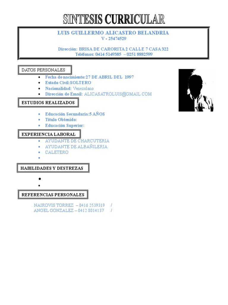 Curriculum Modelo de Curriculum Venezuela 2018 | PDF