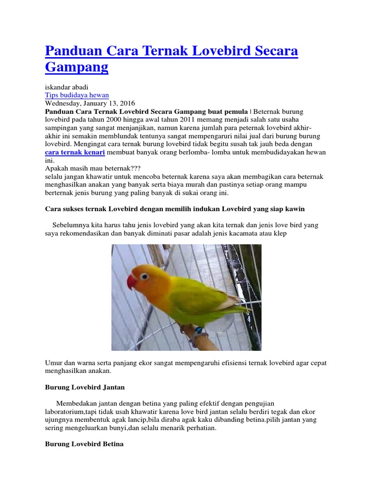 Panduan Cara Ternak Lovebird Secara Gampang | PDF