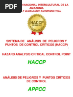 Anam y Eval Leng Adol | PDF | Predicado (Gramática) | Ciencias del comportamiento