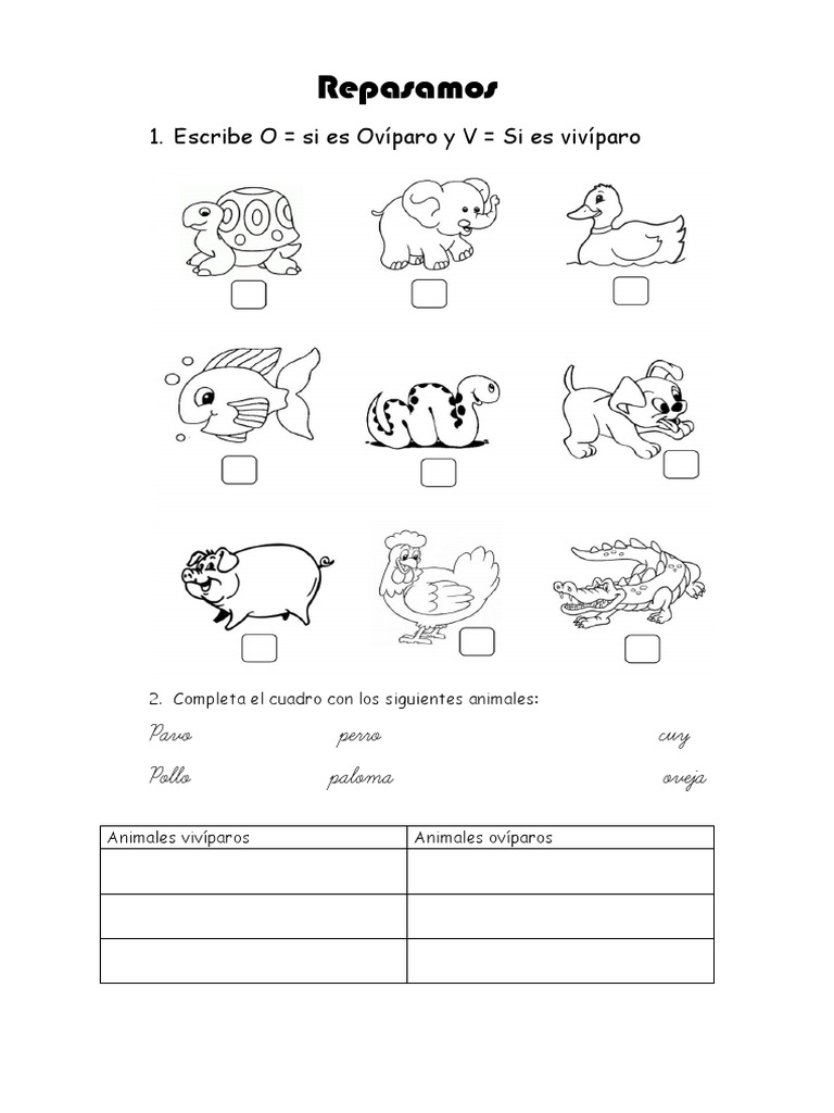 Animales Viviparos y Oviparos