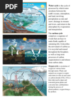 Rocks Rules | PDF | Igneous Rock | Rock (Geology)
