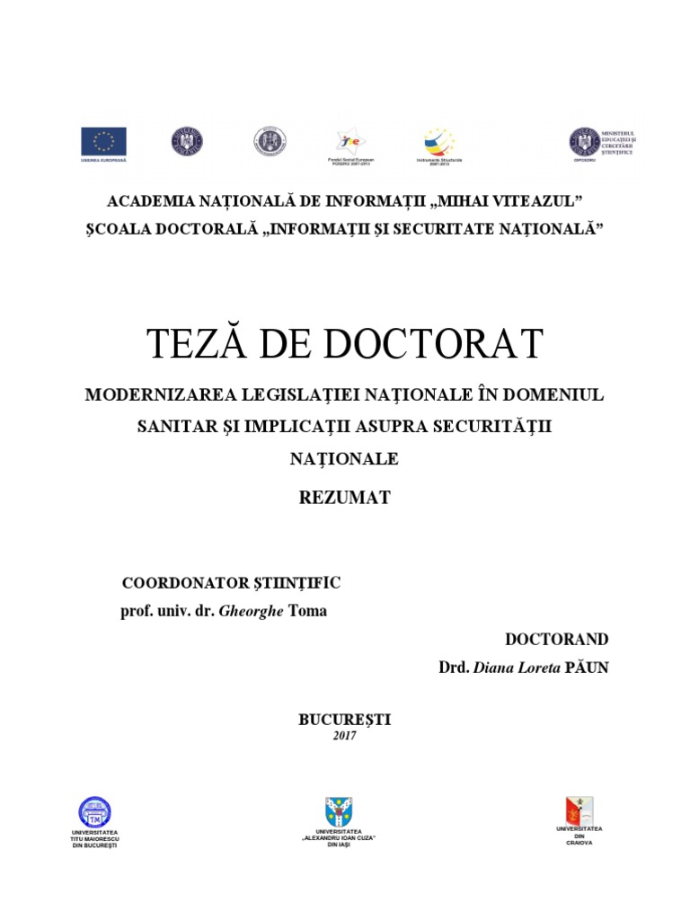 Rezumat Teza Diana Paun | PDF