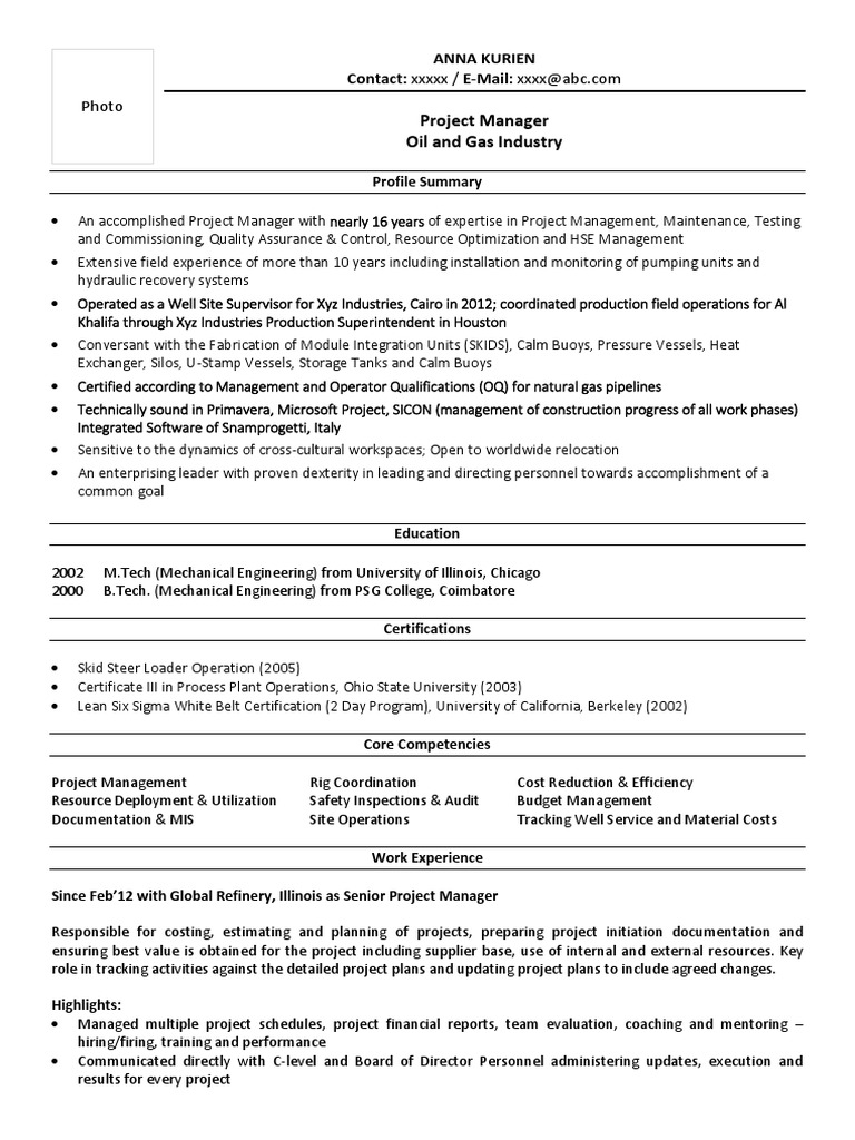 Project Manager - Oil & Gas | PDF | Project Management | Verification ...