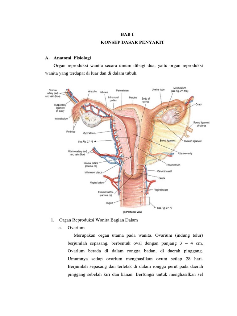 LP Ca Serviks YP Konsep Teori | PDF