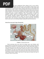 Anatomi Organ Pencernaan Ayam | PDF