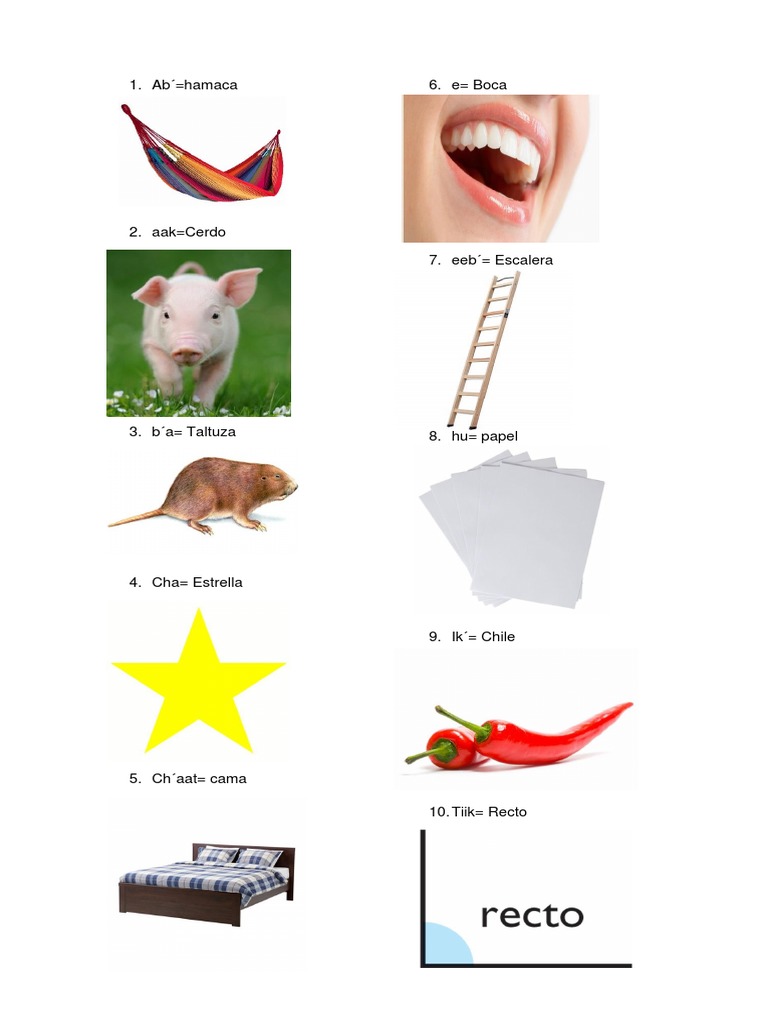 Abecedario en Q Eqchi Con Imagenes | PDF | Arte