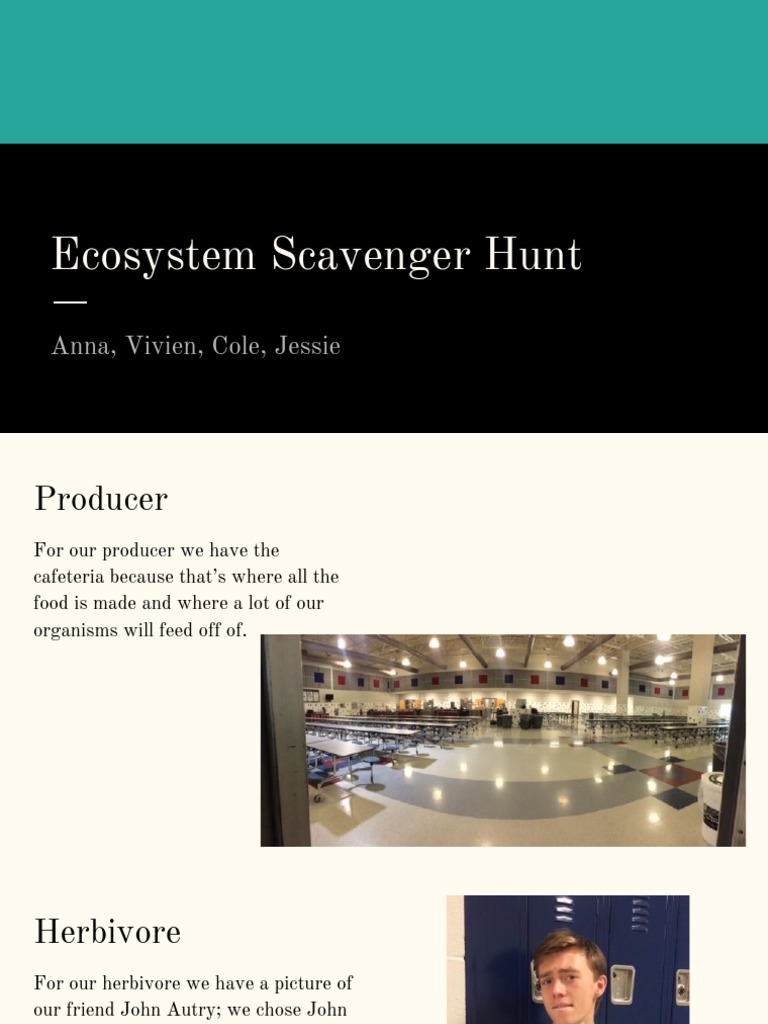 Ecosystem Scavenger Hunt | PDF | Predation | Herbivore
