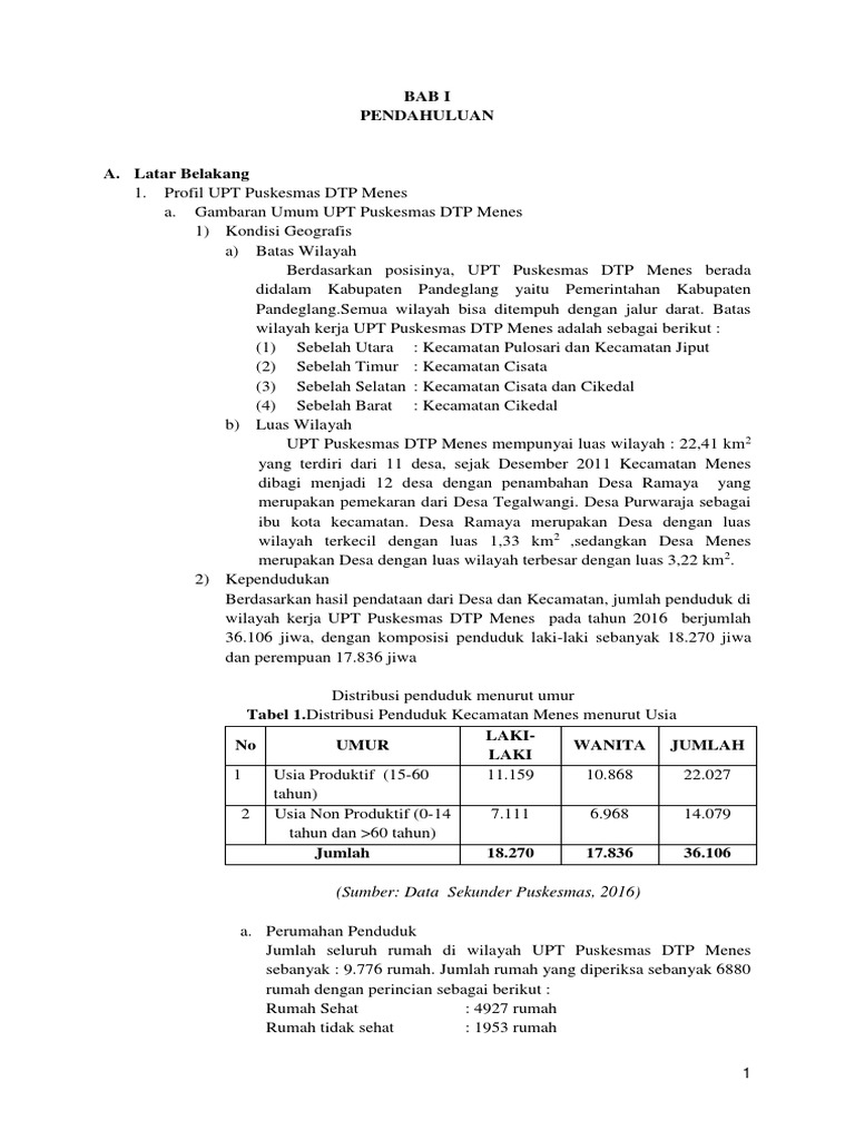 Manual Mutu UPT Puskesmas DTP Menes Edit | PDF