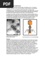 Estructura y ciclo del bacteriófago T4 | PDF | Bacteriófago | Adn