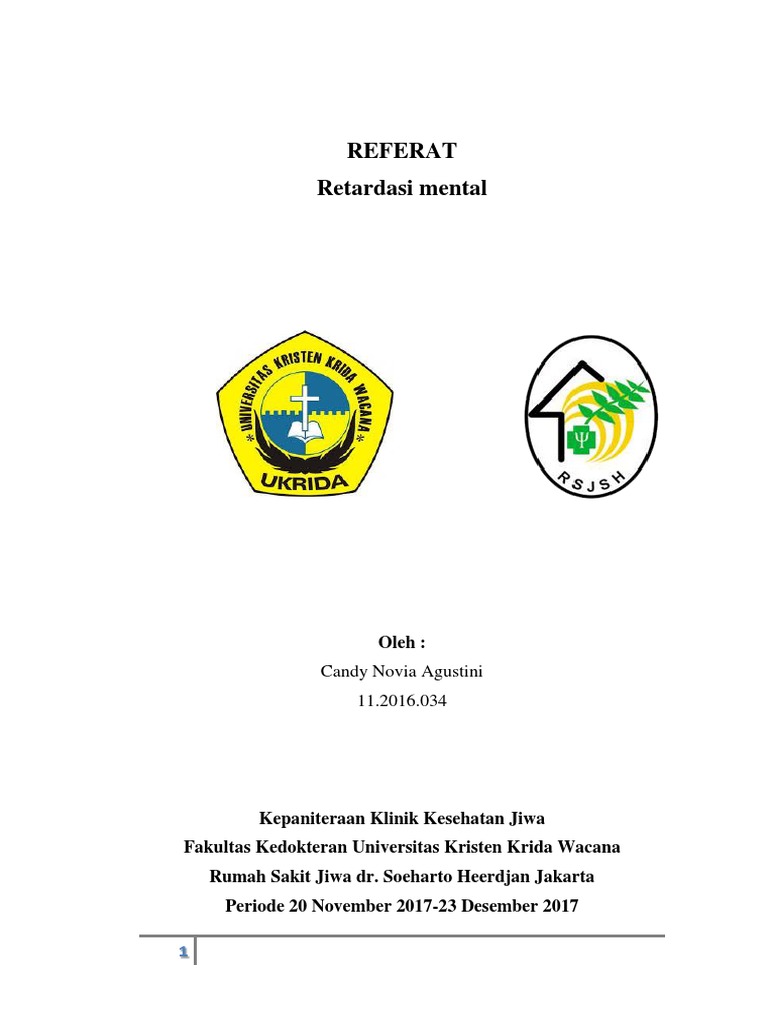 Referat RM DSM V | PDF