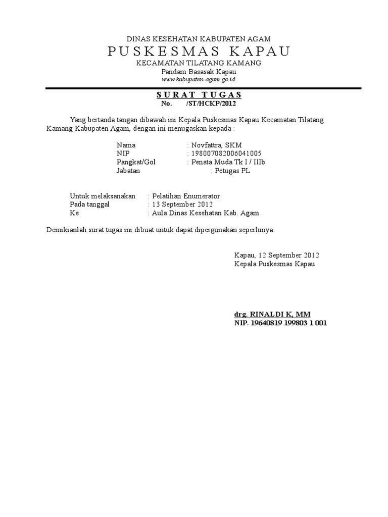 Surat Tugas Enumerator | PDF