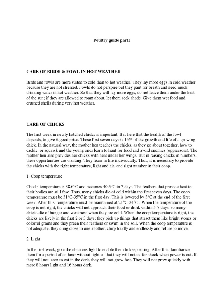 Poultry Guide Part 1 | PDF | Chicken | Birds