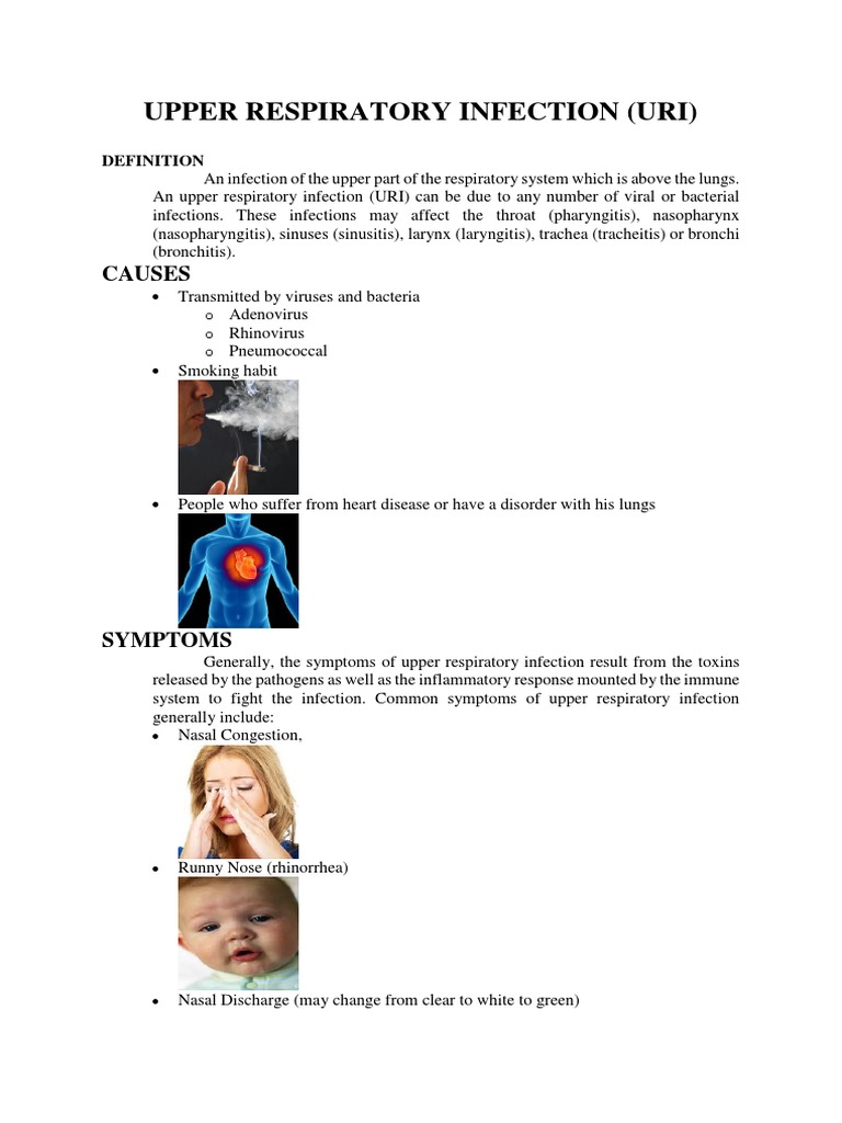 Upper Respiratory Tract Infection (Uri) | PDF | Respiratory Tract ...