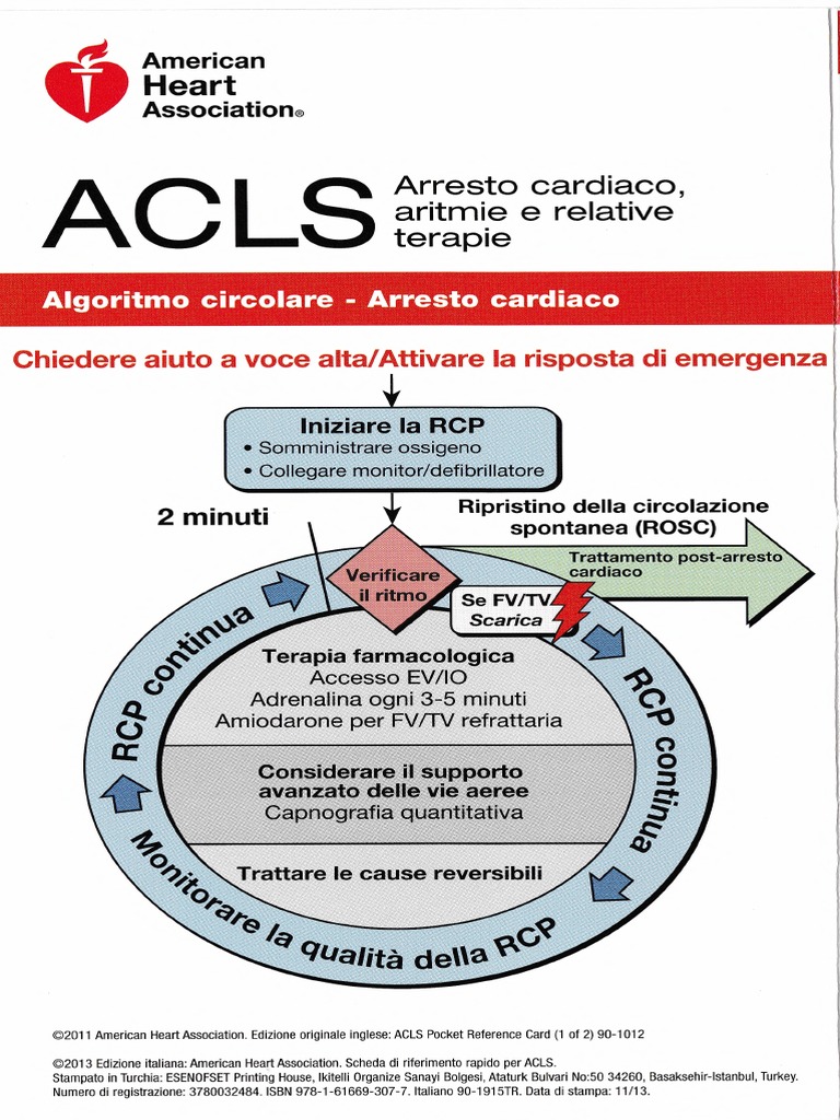 Acls Algoritmi Arresto e Aritmie | PDF