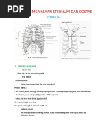 Thorax PA, AP Dan Lateral, RLD Dan LLD | PDF