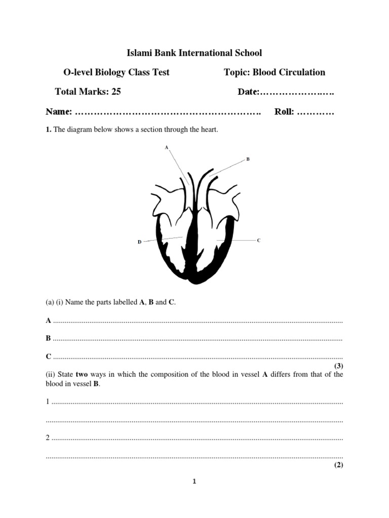 O-Level Biology Test: Blood Circulation | PDF | Circulatory System | Heart