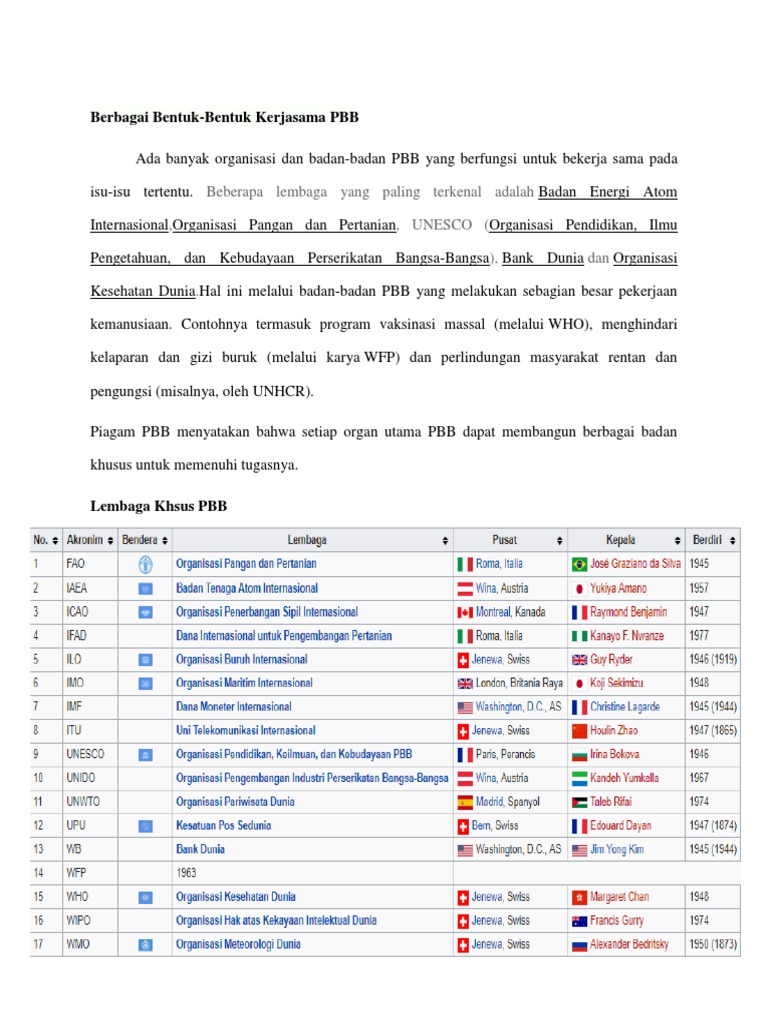 Bentuk Kerjasama PBB | PDF