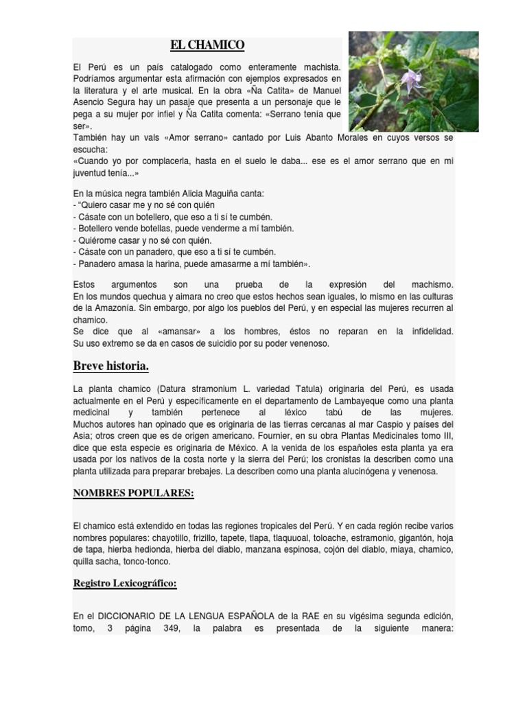 El Chamico | PDF | Bienestar | Medicina