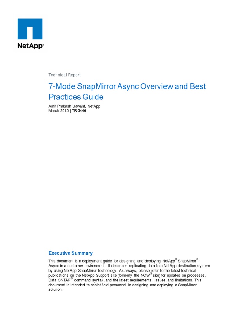 tr-3446 SnapMirror Async Overview and Best Practices Guide PDF | PDF