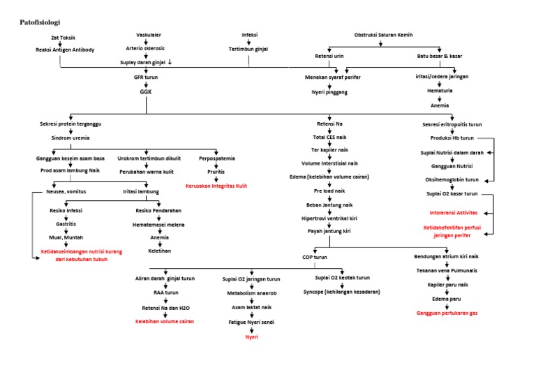 Patofisiologi Kelebihan Volume Cairan | PDF