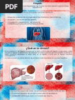 Triptico Cirrosis | PDF | Cirrosis | Dieta