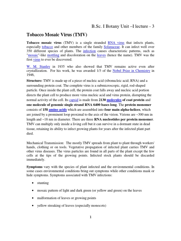 Tobacco Mosaic Virus (TMV) : B.Sc. I Botany Unit - I Lecture - 3 ...