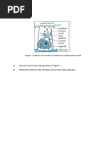 How To Use The DEAR Reading Program | PDF | Classroom | Teachers