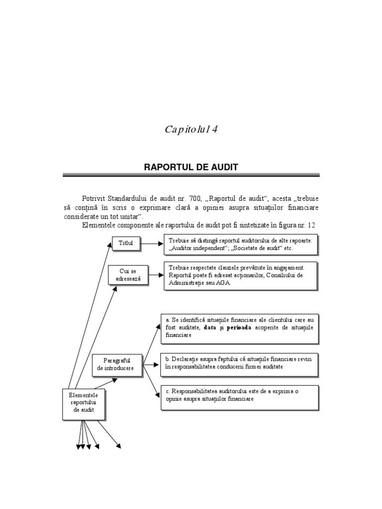 Cap 4 - Raportul de Audit | PDF