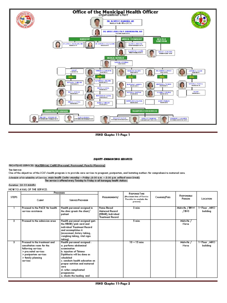 Municipal Health Organizational Chart | PDF | Midwife | Nursing