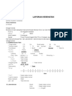 Format Asli Laporan Hasil Mcu | PDF