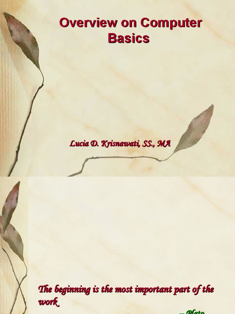 Overview On Computer Basics | PDF | Computer Keyboard | World Wide Web