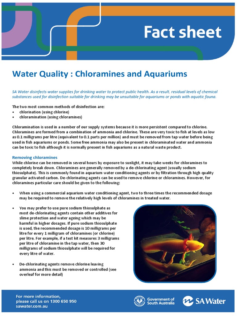 Water Quality: Chloramines and Aquariums | PDF | Aquarium | Water