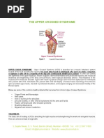 Alfredson Heel Drop Protocol | PDF | Soft Tissue | Limbs (Anatomy)