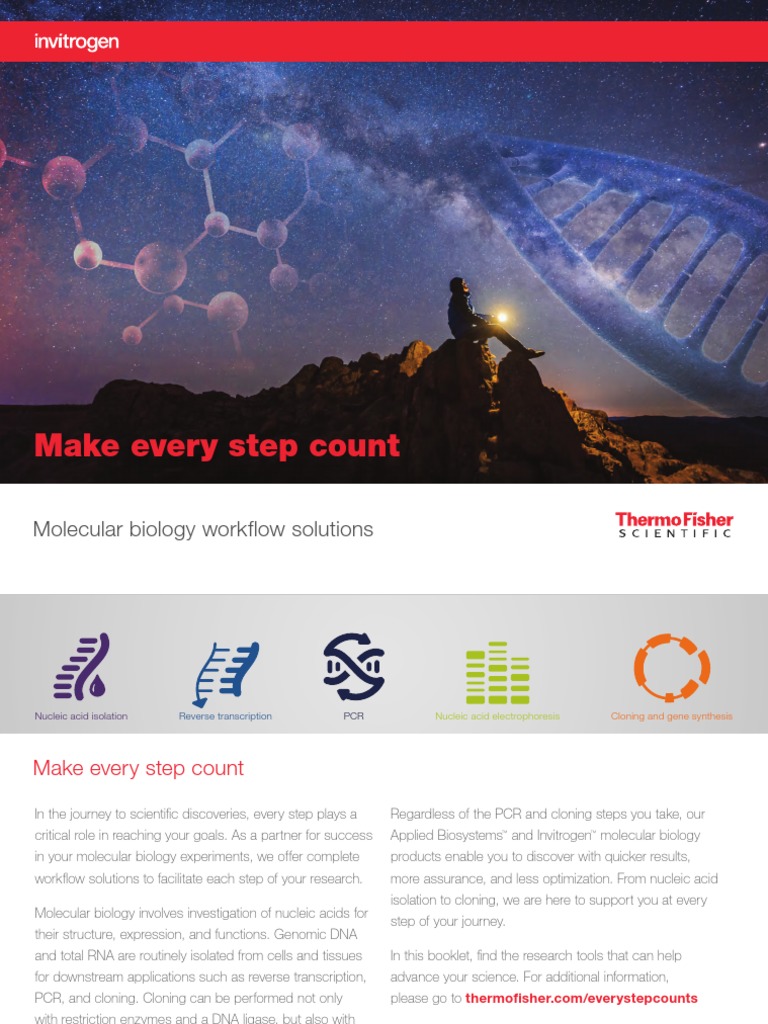 Molecular Biology Workflow Solutions 11 16 | PDF | Molecular Cloning ...