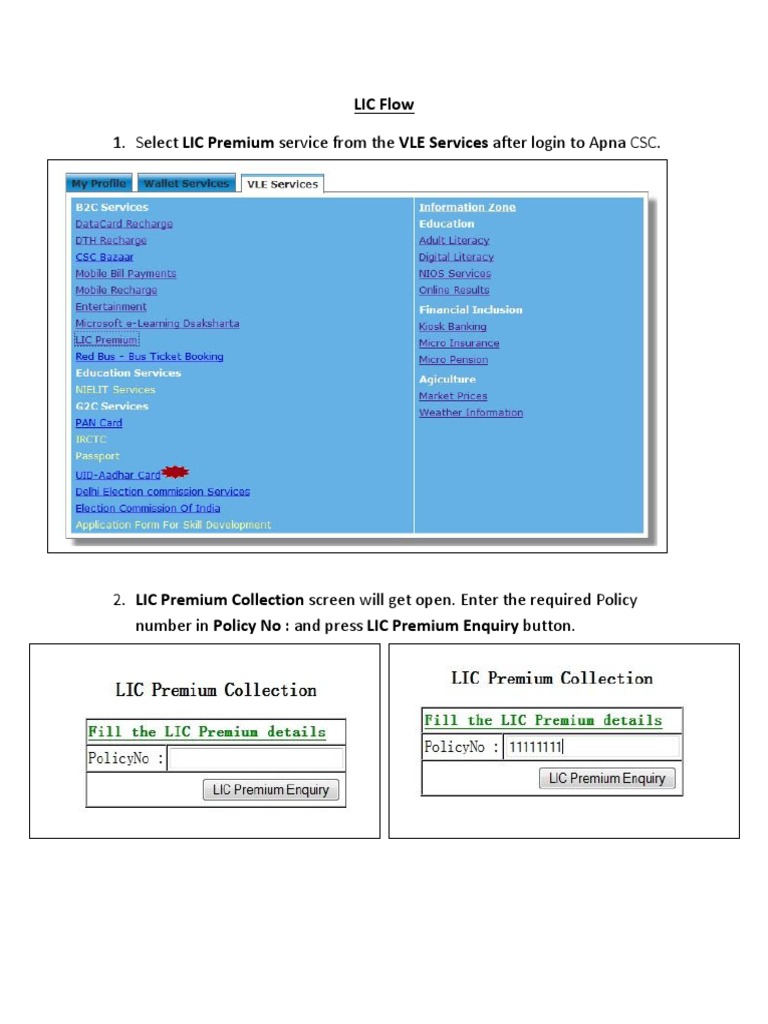 LIC Process Flow and FAQ | PDF