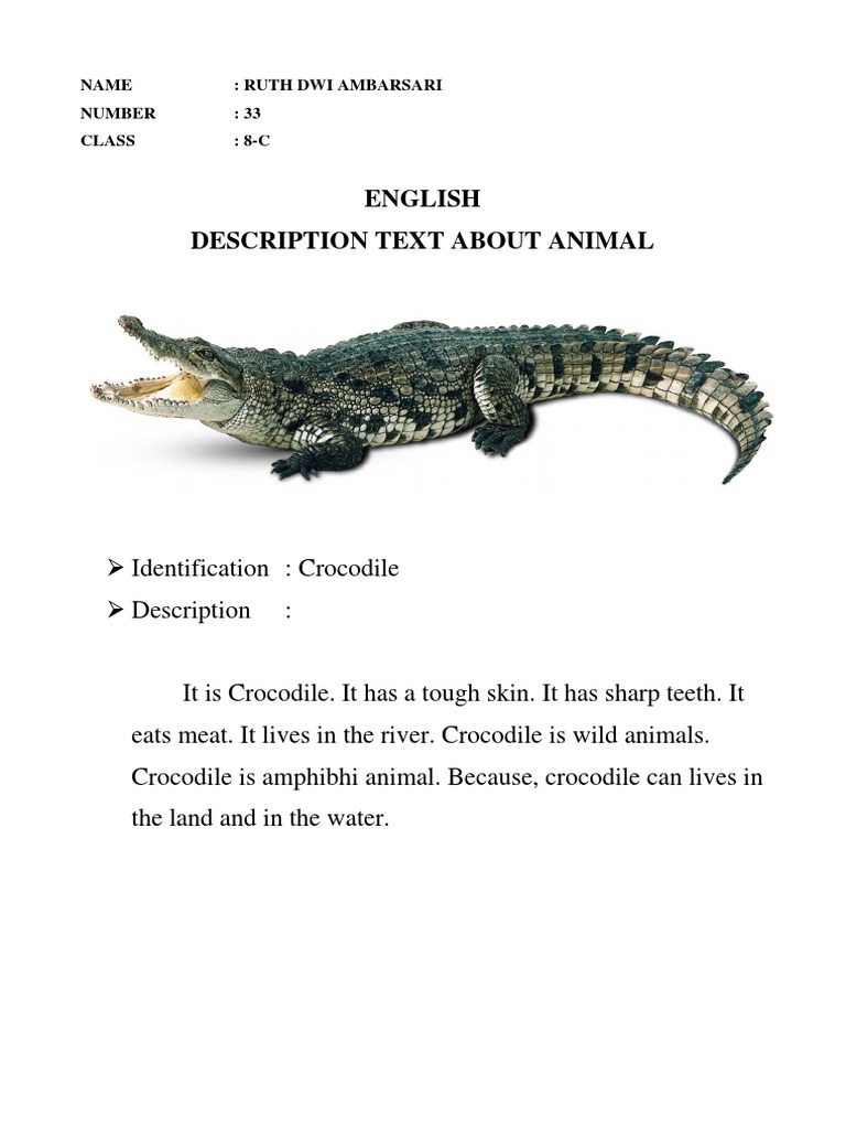 Crocodile: Description and Habitat | PDF