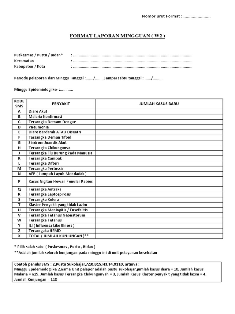 Format Laporan Mingguan | PDF
