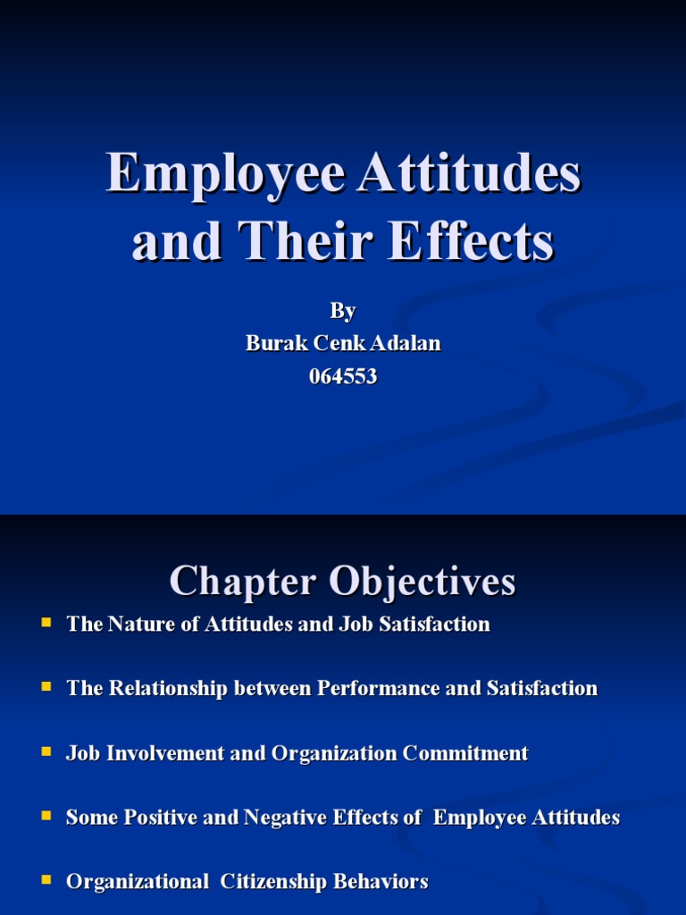 Employee Attitudes and Job Satisfaction | PDF | Job Satisfaction ...