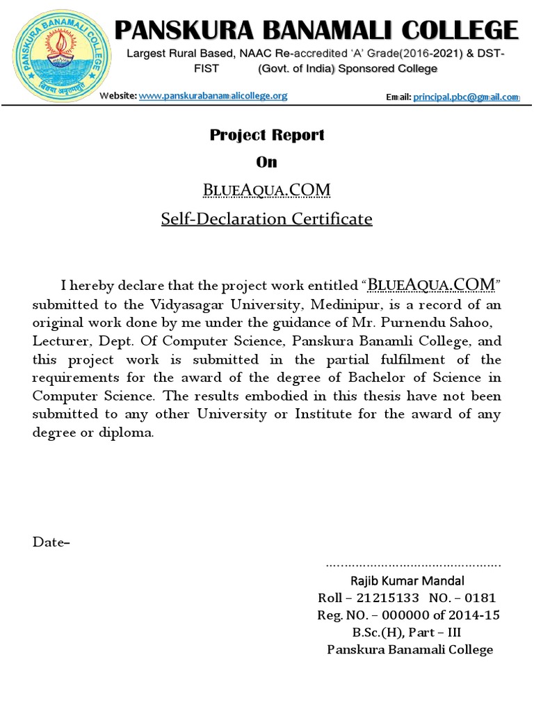 Self Declaration of Project | PDF