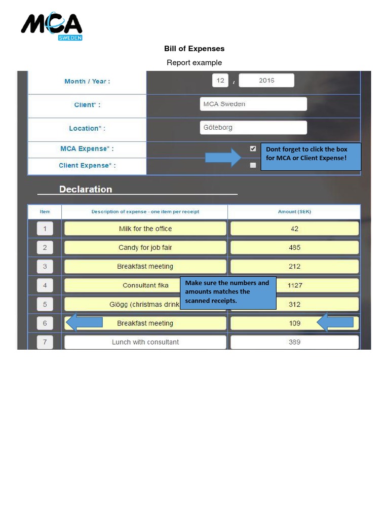 Report Example: Bill of Expenses | PDF | Business