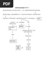 Pathway Febris | PDF