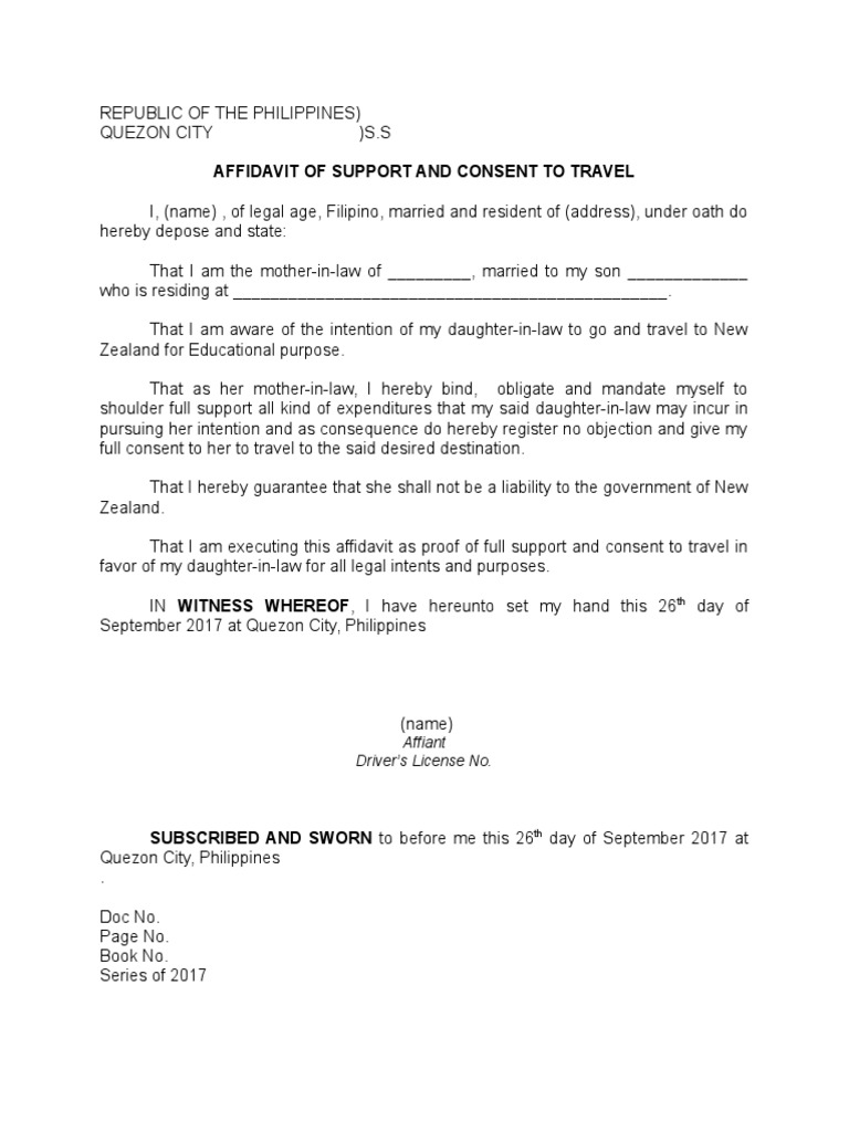 Affidavit of Support | PDF