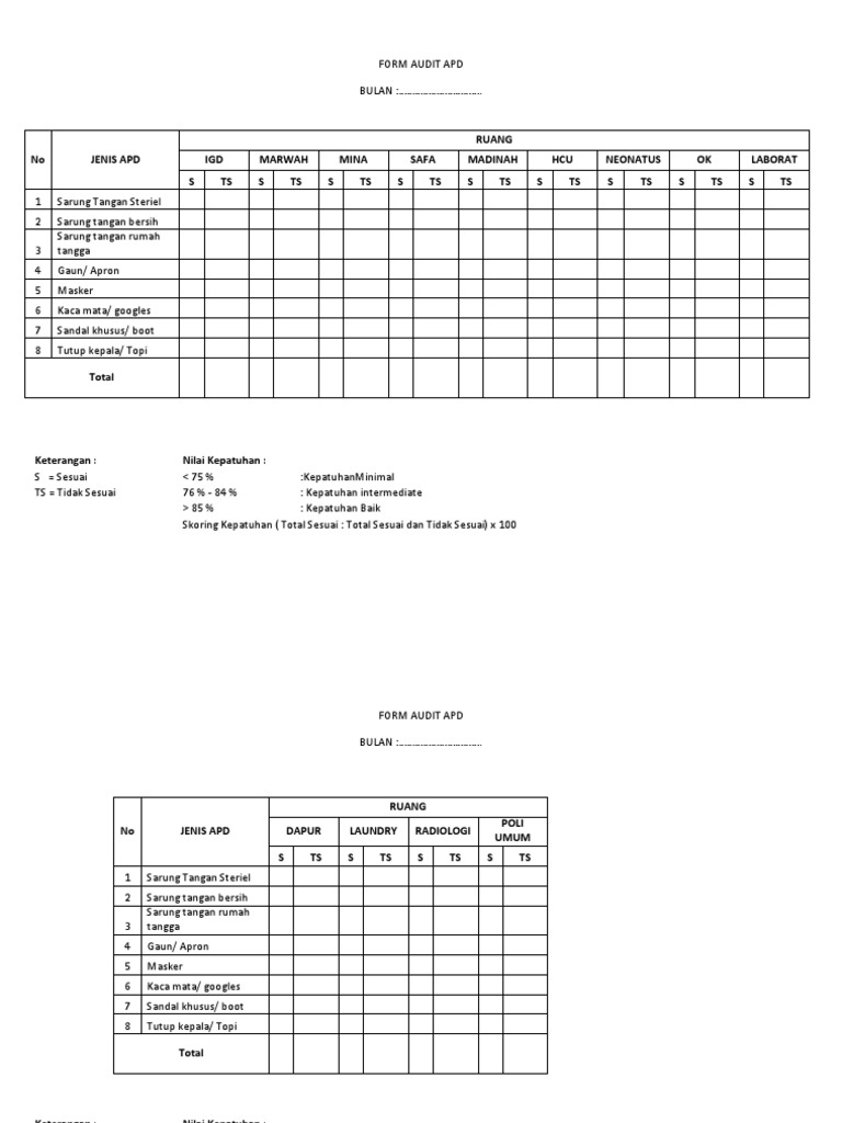 Form Audit APD | PDF