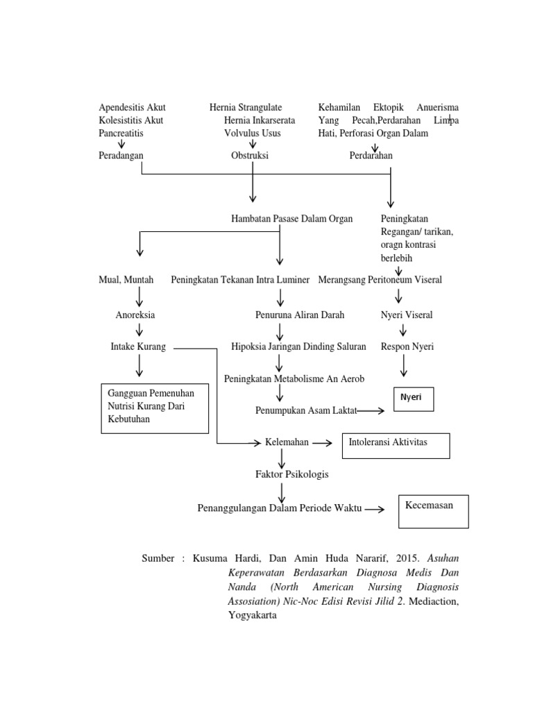 Pathway Kolik Abdomen