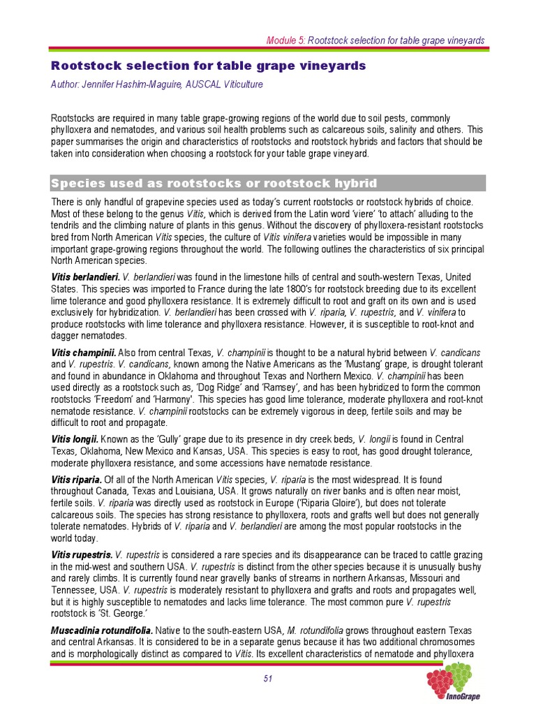 Table Grape Rootstock Selection Guide | PDF | Vitis | Vineyard